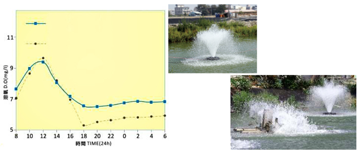 D-GAS AERATOR = P50110 / P50120 - 台灣金灃生物有限公司
